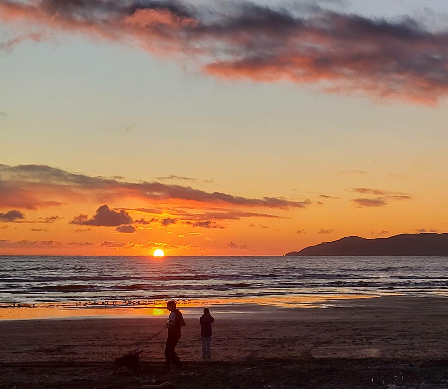 KapitiNET – Connecting Wellington – Internet, Landlines, Mobiles